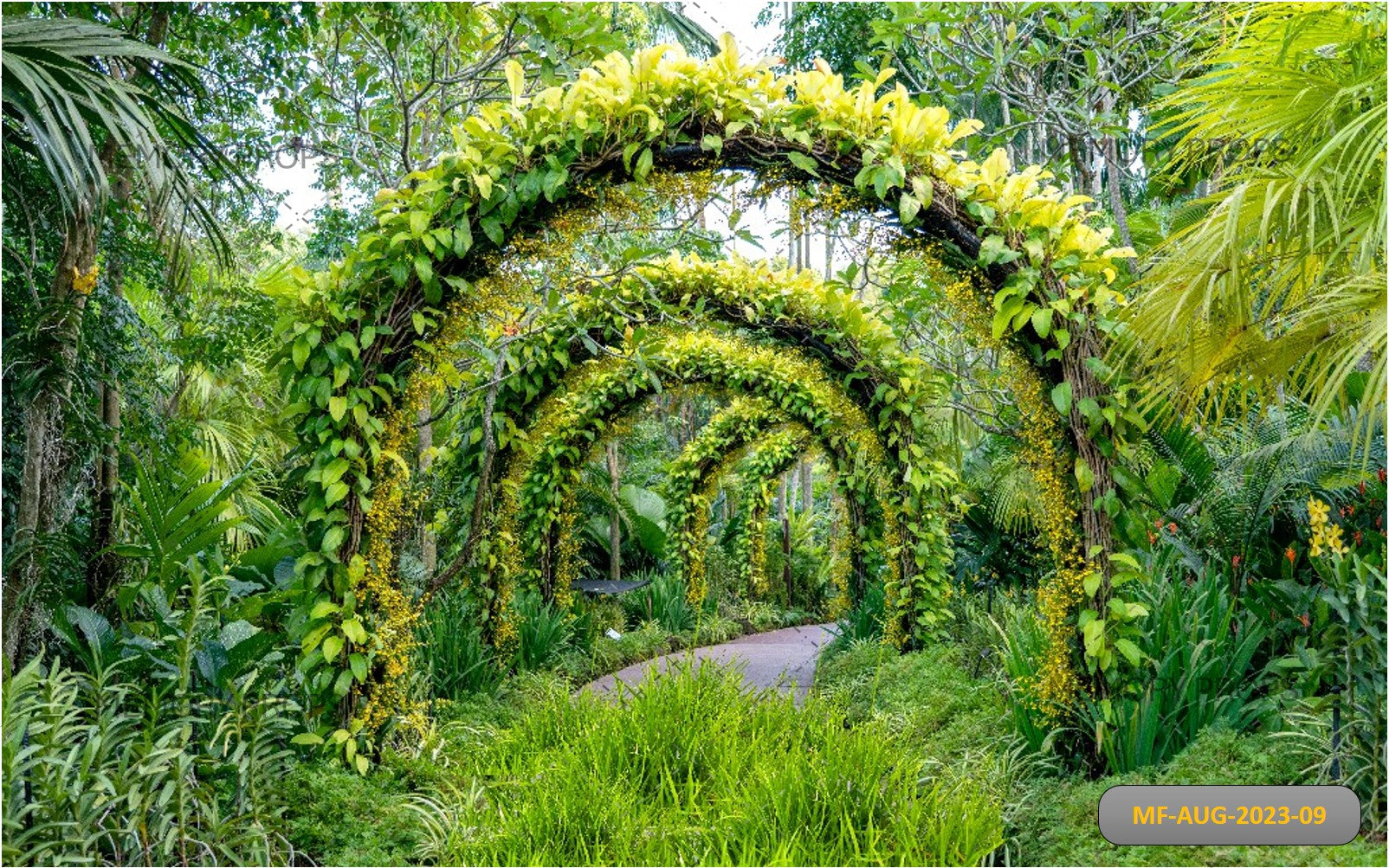 TROPICAL GREEN ARCH GARDEN - PRINTED BACKDROP
