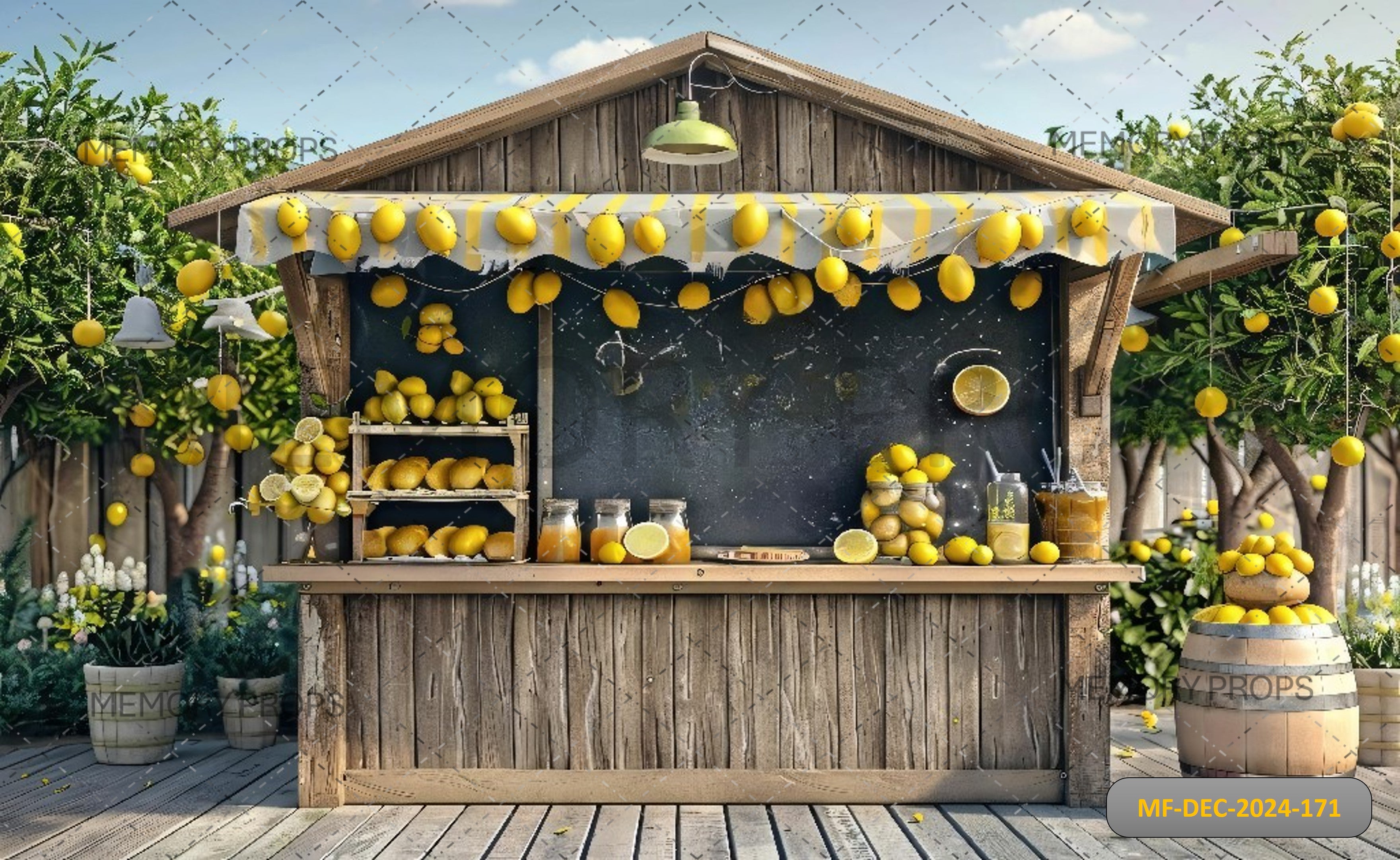 Lemonade Stand With Chalkboard Printed Backdrop
