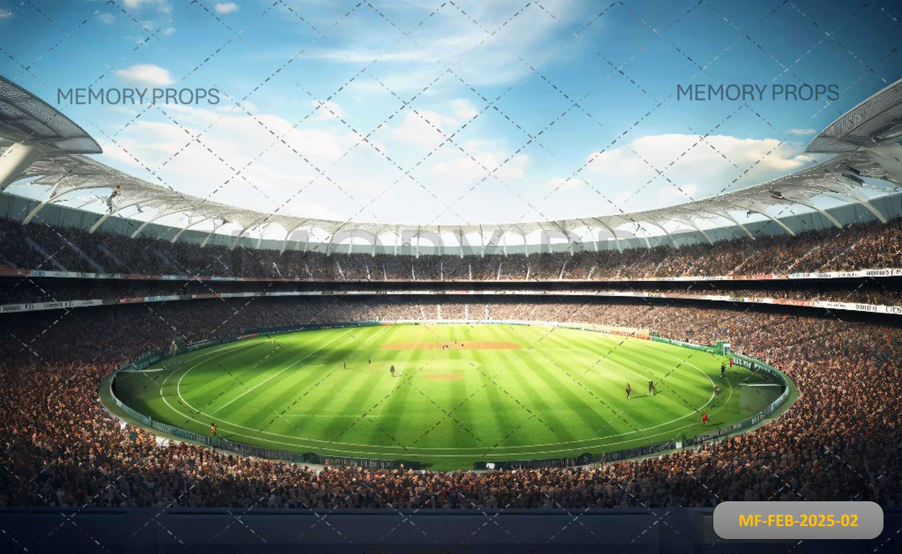 Large Cricket Stadium Printed Backdrop