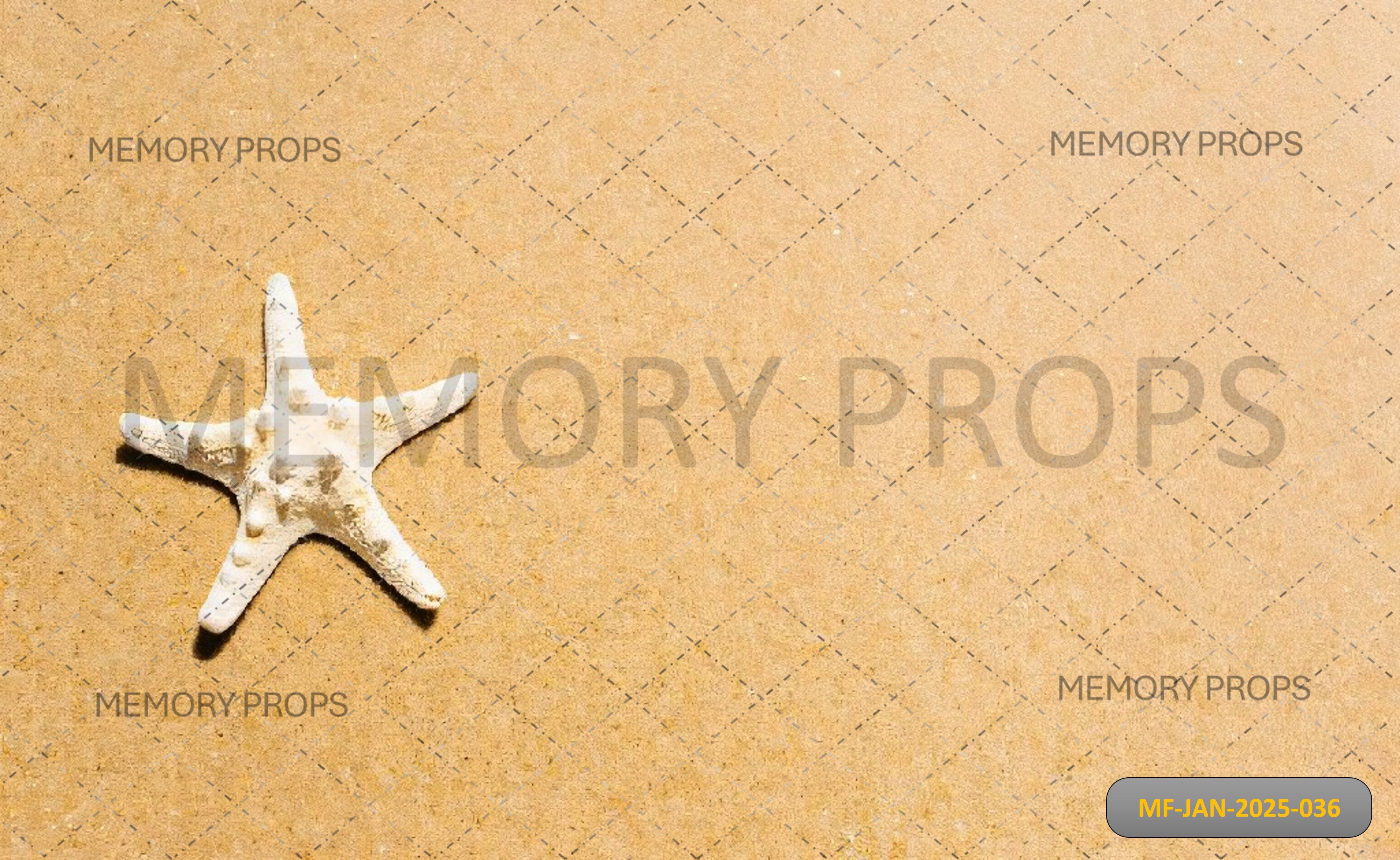 Summer sand Beach Printed Backdrops