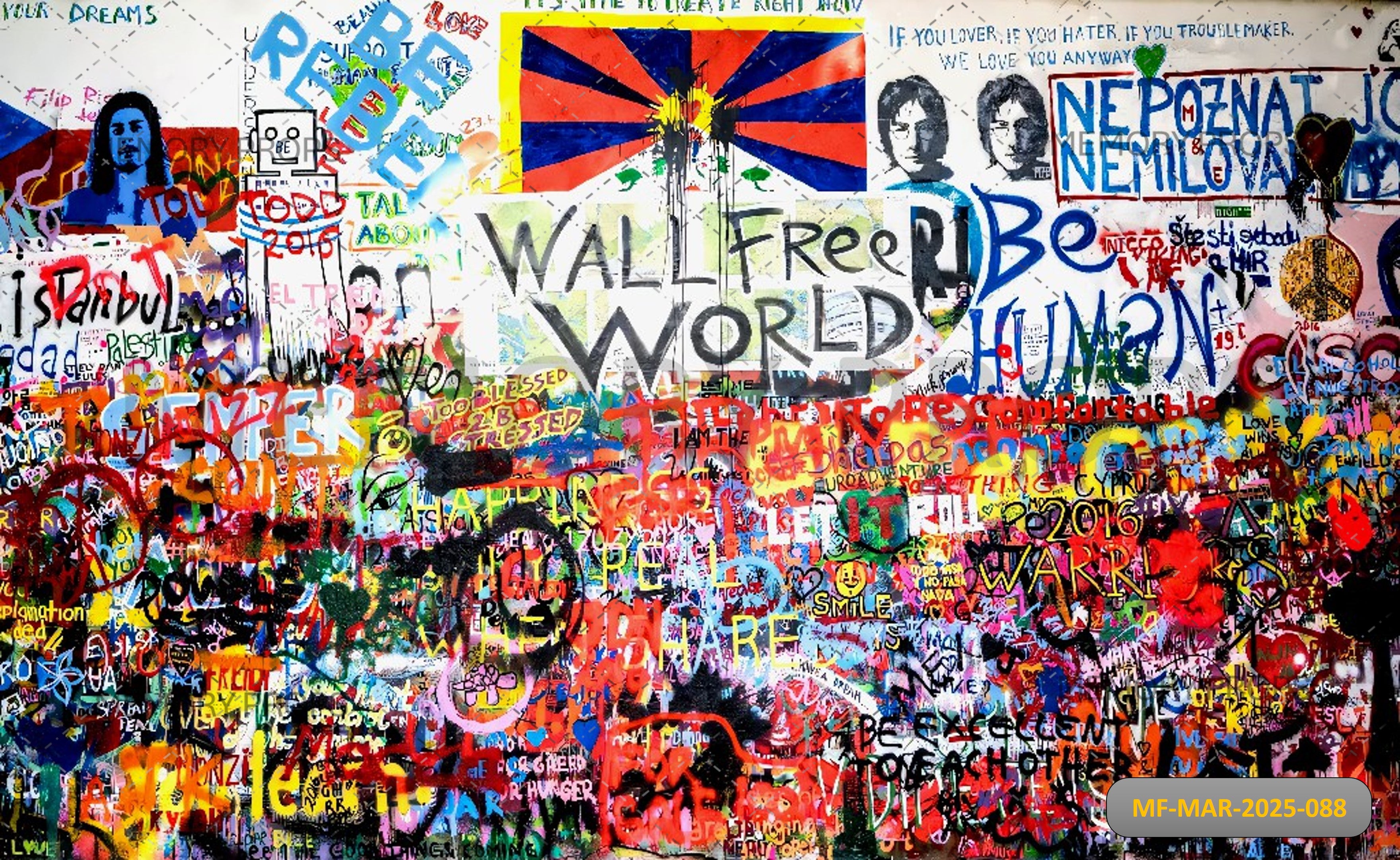 Graffiti Freedom Wall Printed Backdrop