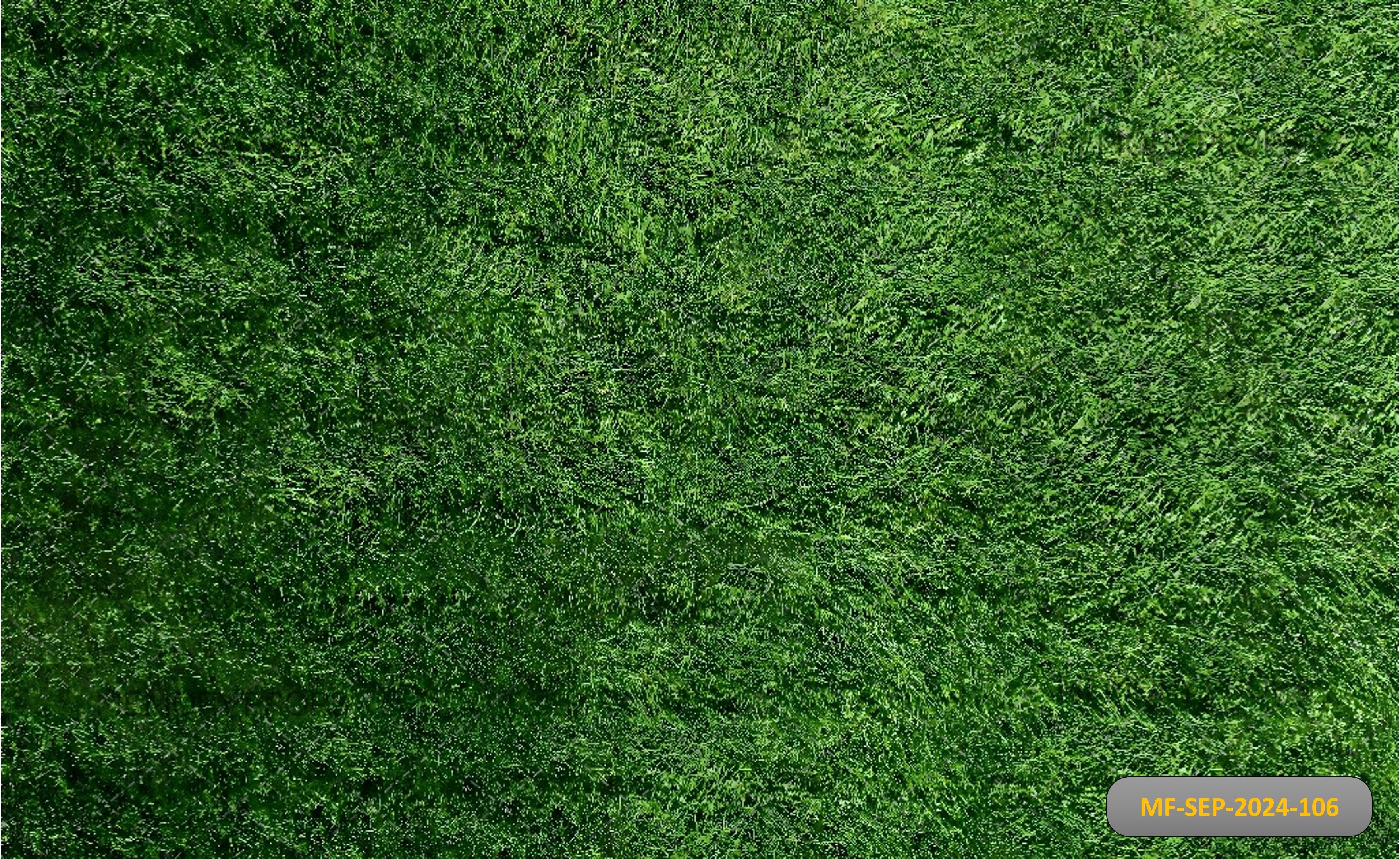 Multi Colour Stage + Green Grass backdrops